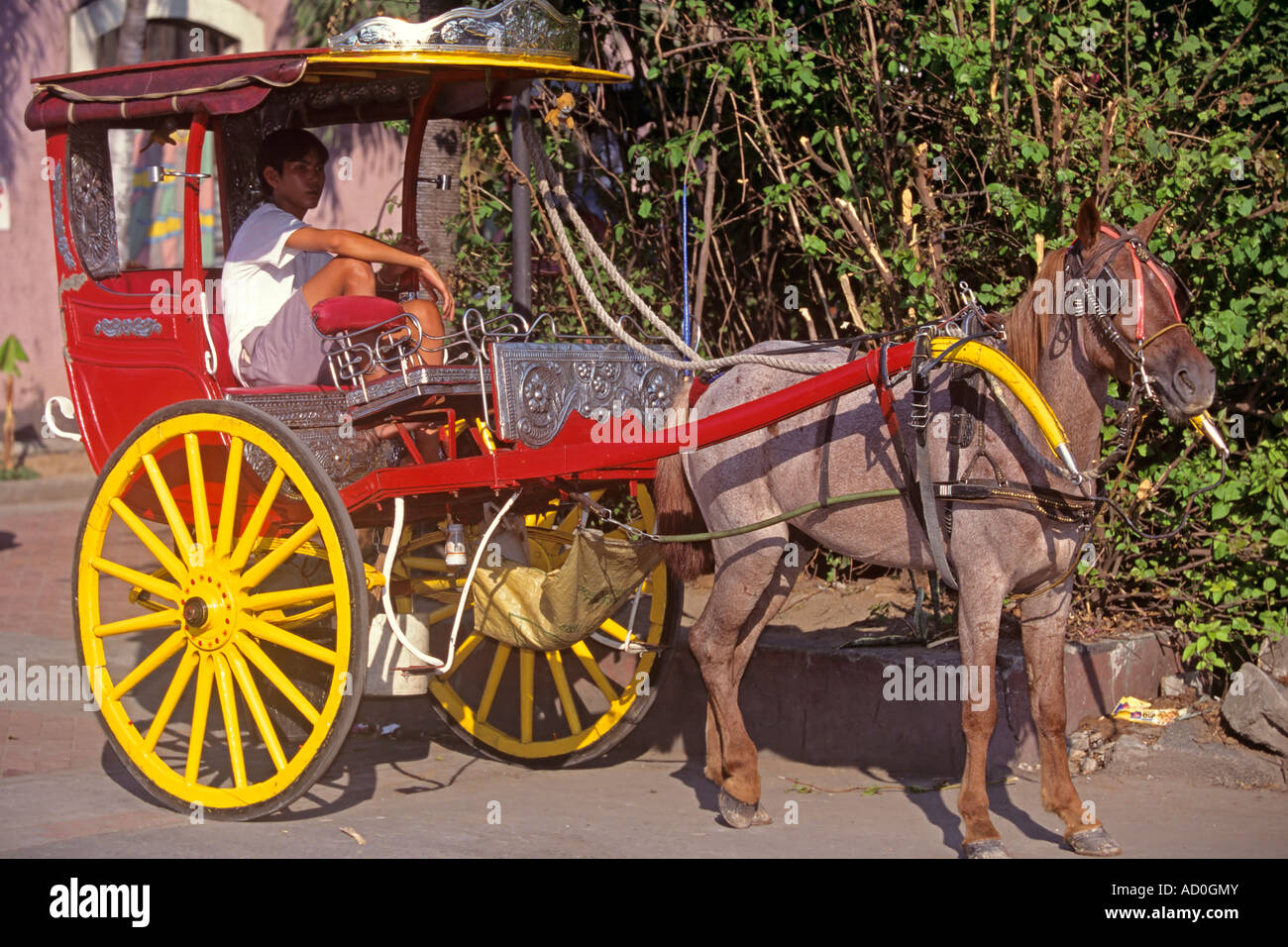 Kalesa ride horse carriage hi-res stock photography and images - Alamy