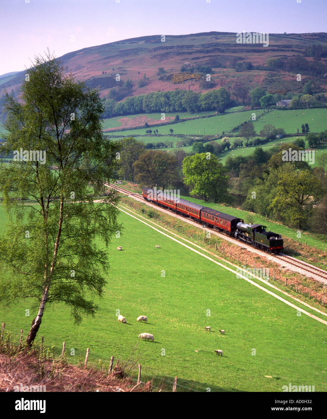 Steam Locomotive 7822 Foxcote Manor Pulling Carriages on the Llangollen ...
