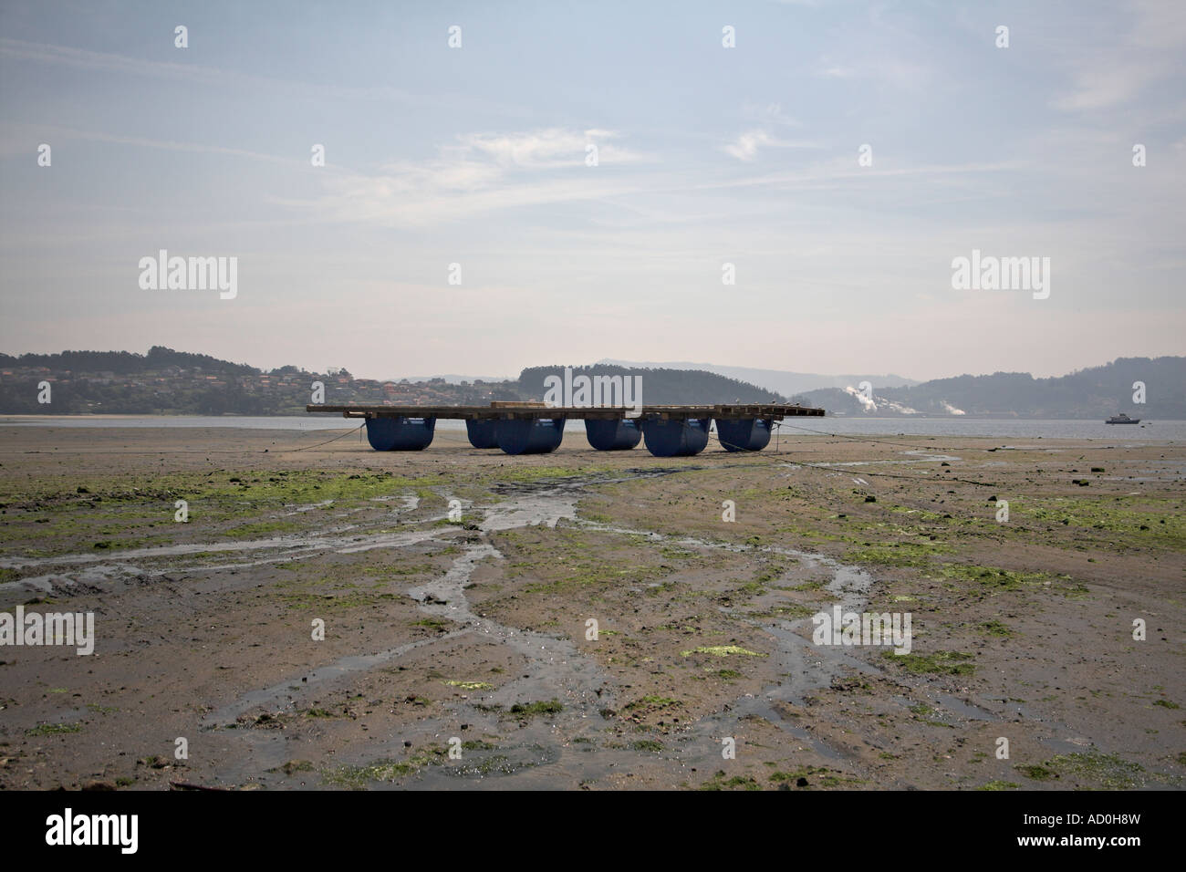 Galician mussel farm hi-res stock photography and images - Alamy