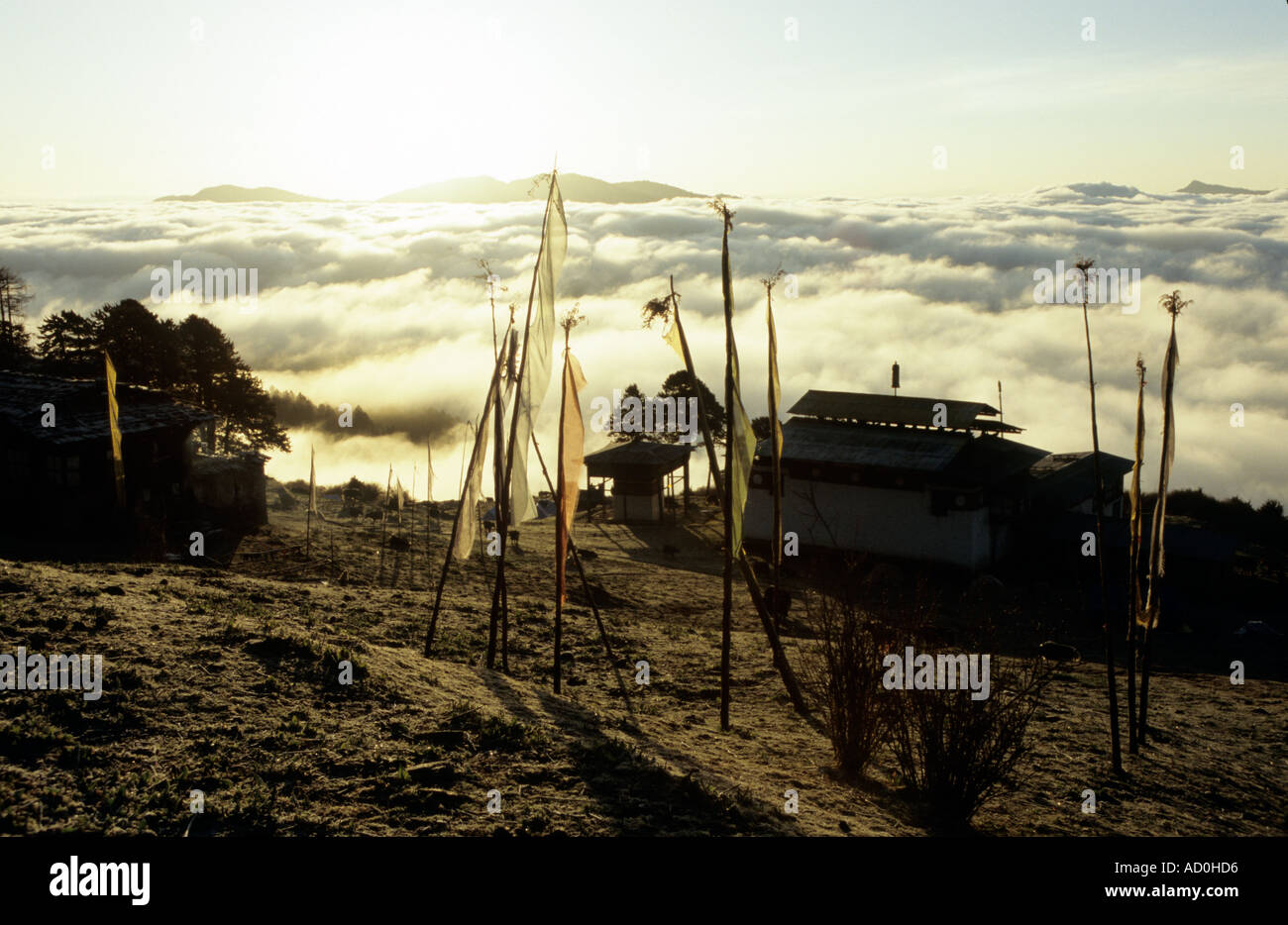 Prayer flags early morning Phajoding Goemba Bhutan Stock Photo - Alamy