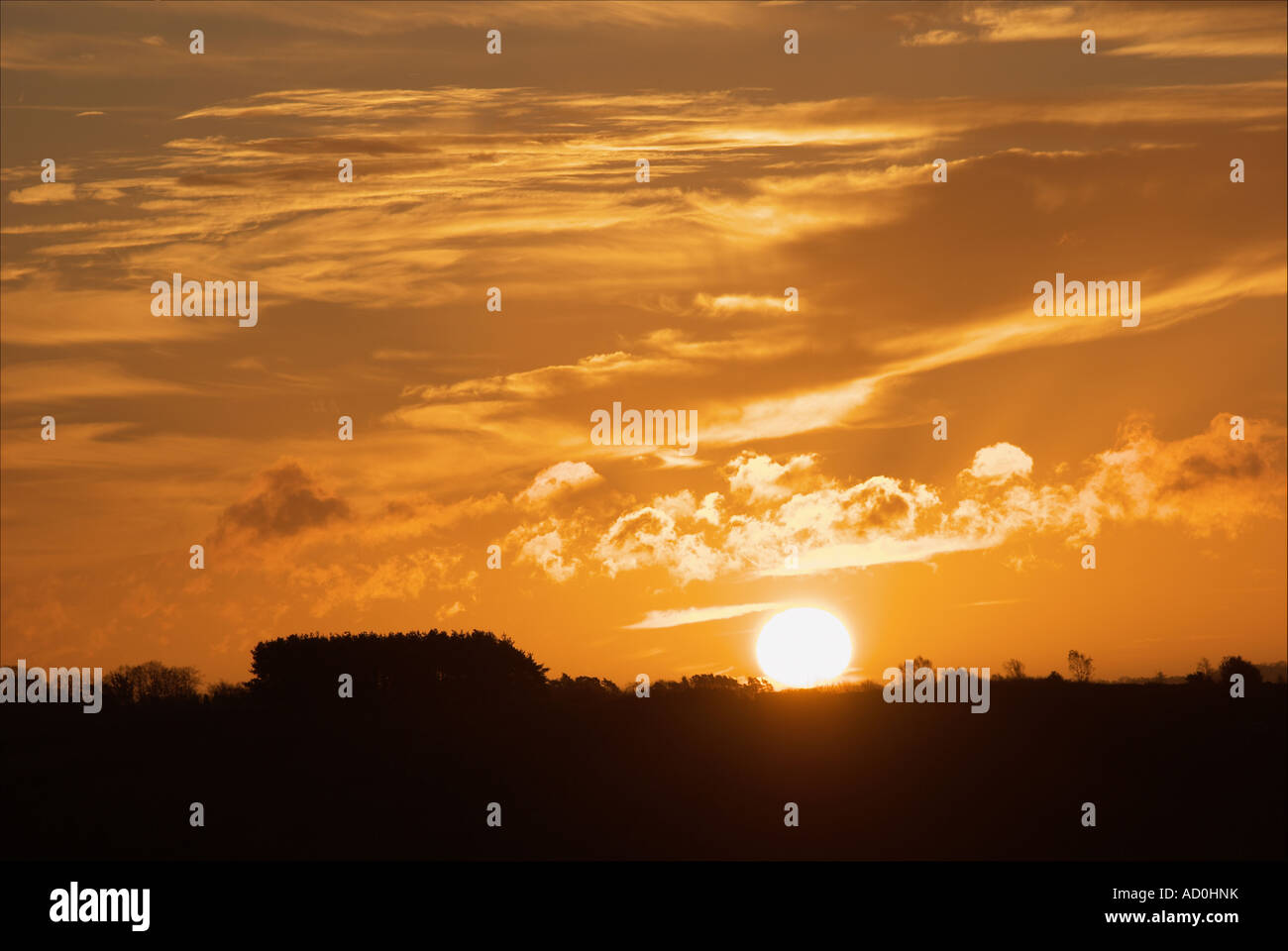 Spring sunrise over the Ashdown Forest Stock Photo - Alamy