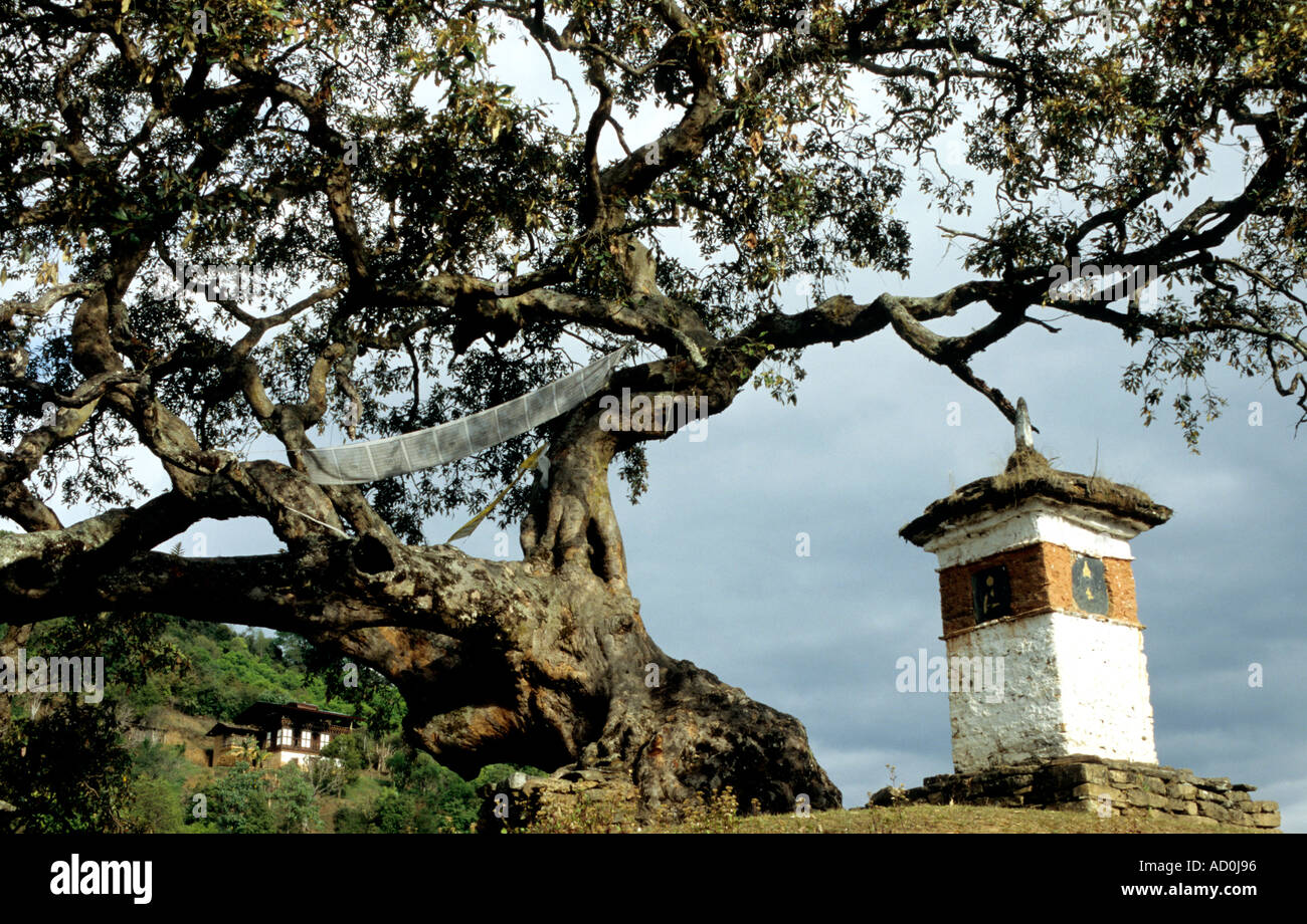 Chorten at Chorten Ningpo Bhutan Stock Photo - Alamy