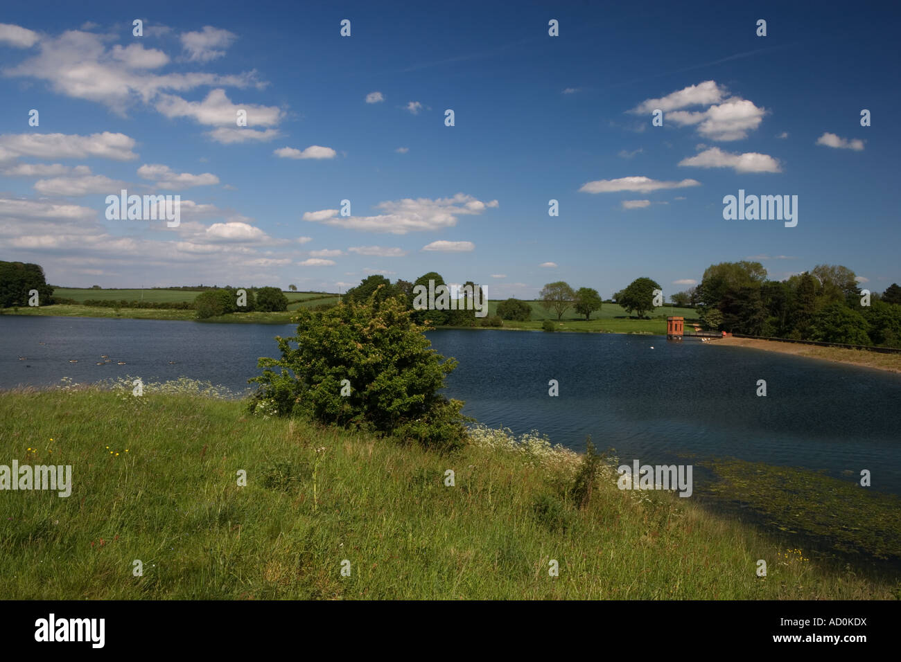 Sywell Country Park, Northamptonshire, England, UK Stock Photo - Alamy