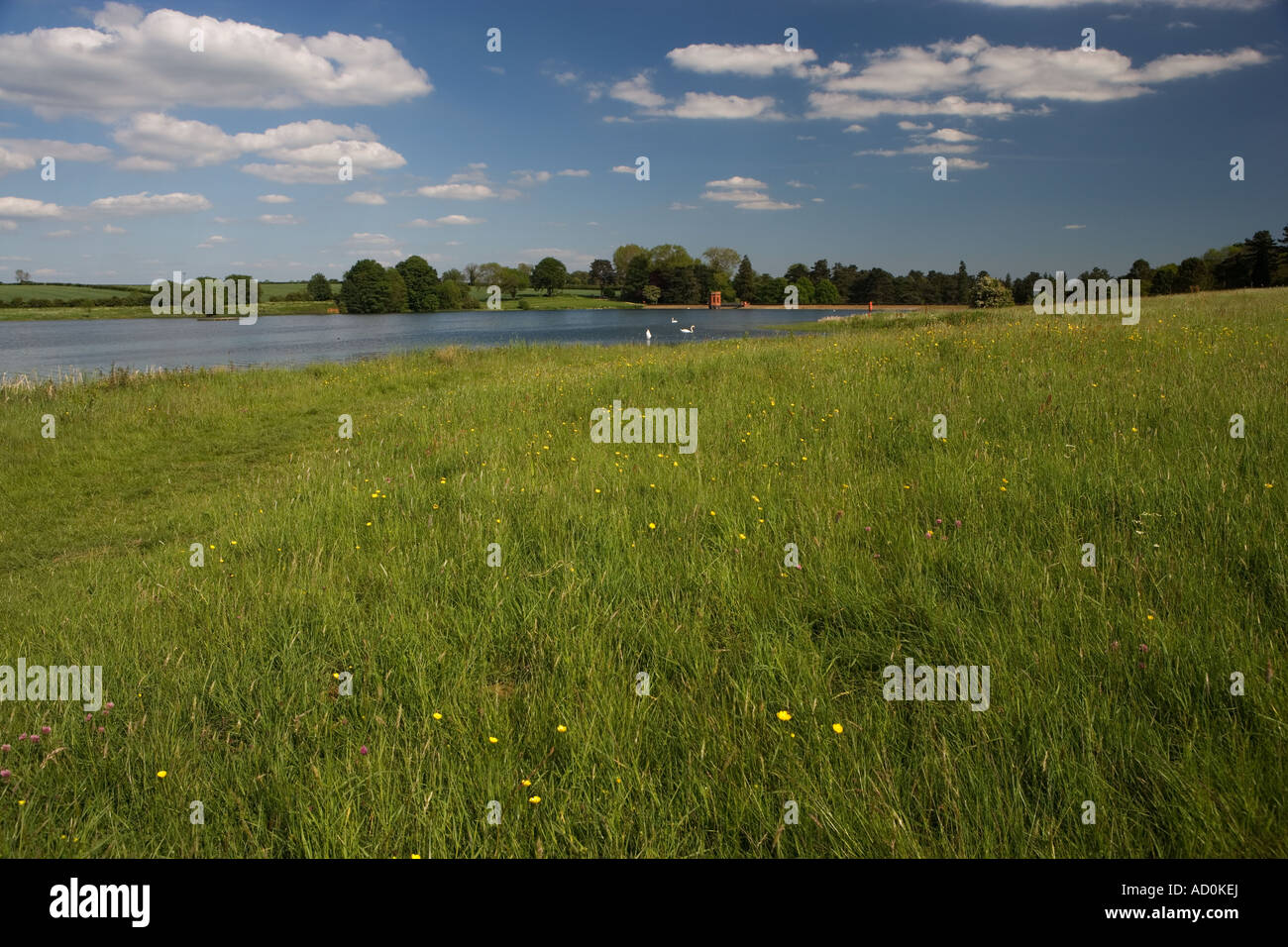 Sywell Country Park, Northamptonshire, England, UK Stock Photo - Alamy