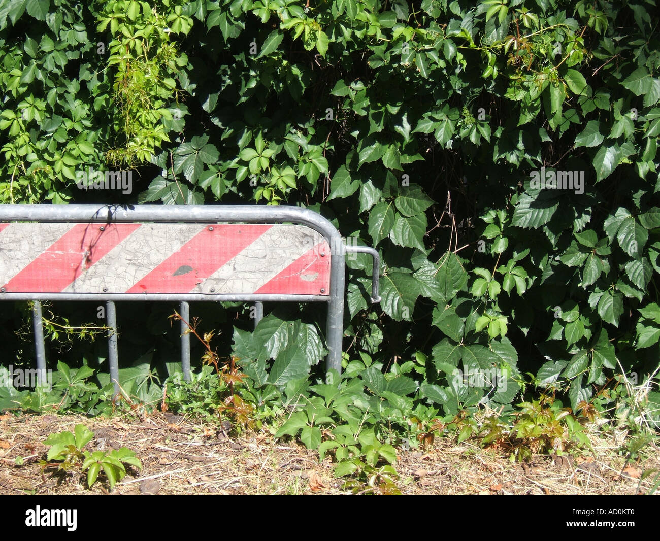 Level crossing no barriers hi-res stock photography and images - Alamy