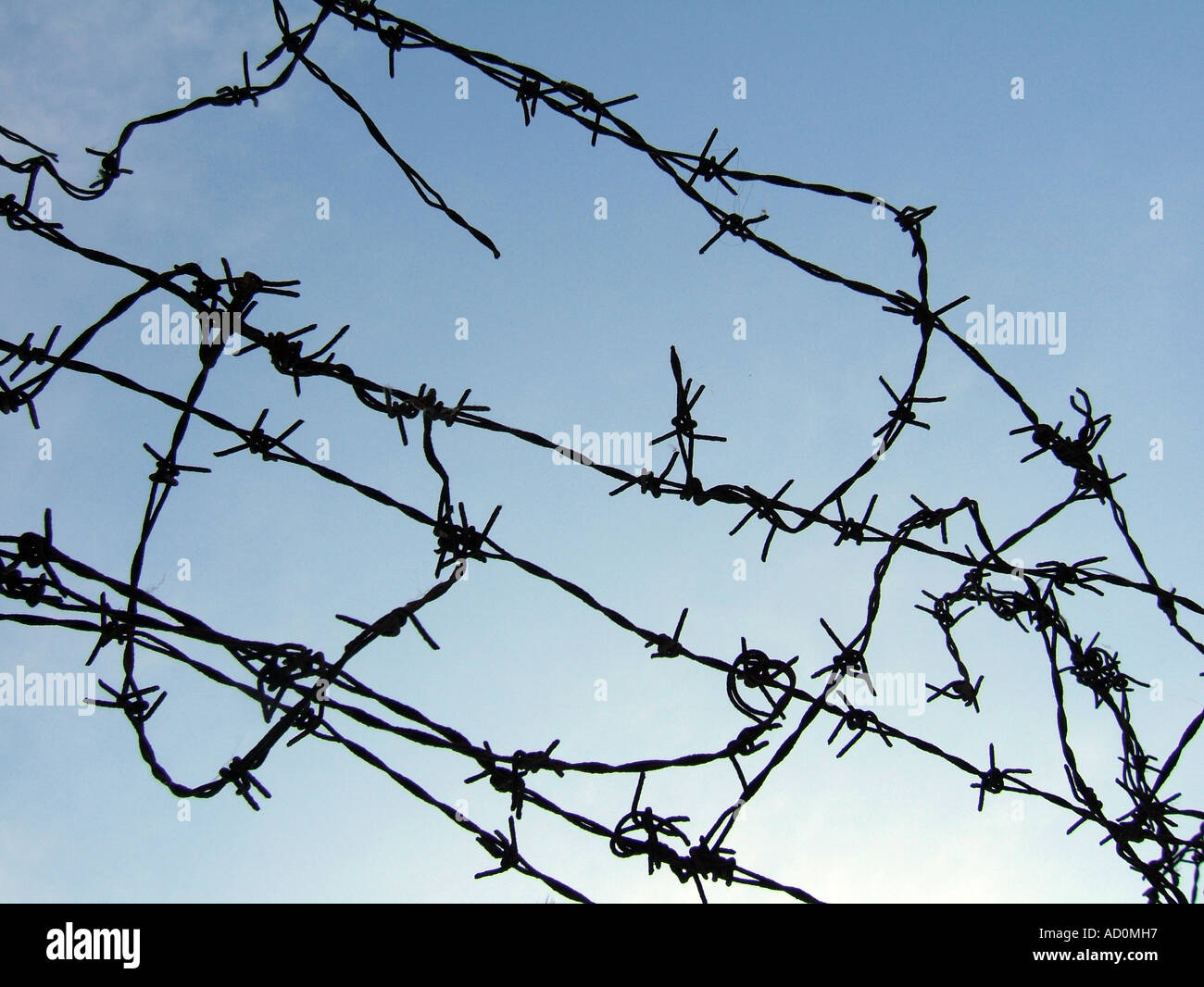 barbed wire fence Stock Photo - Alamy