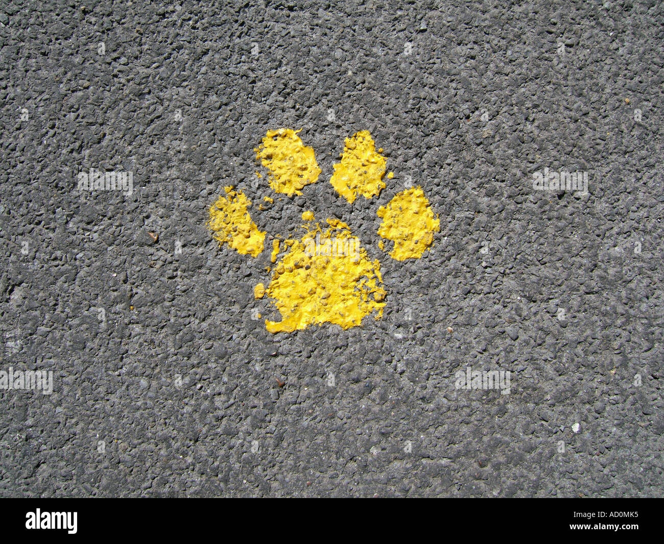 dog paw print painted on road Stock Photo - Alamy