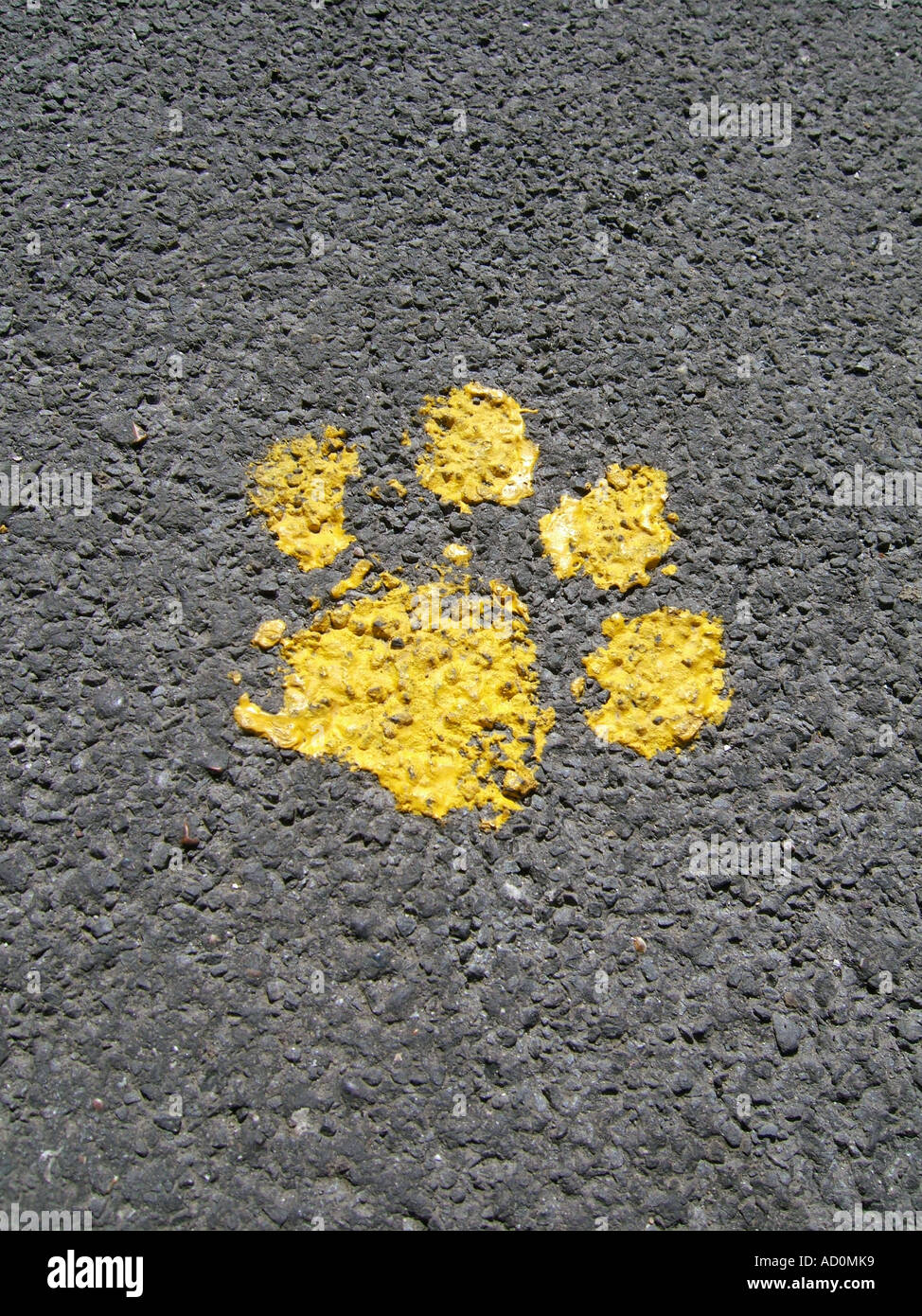 Painted footsteps on pavement hi-res stock photography and images - Alamy