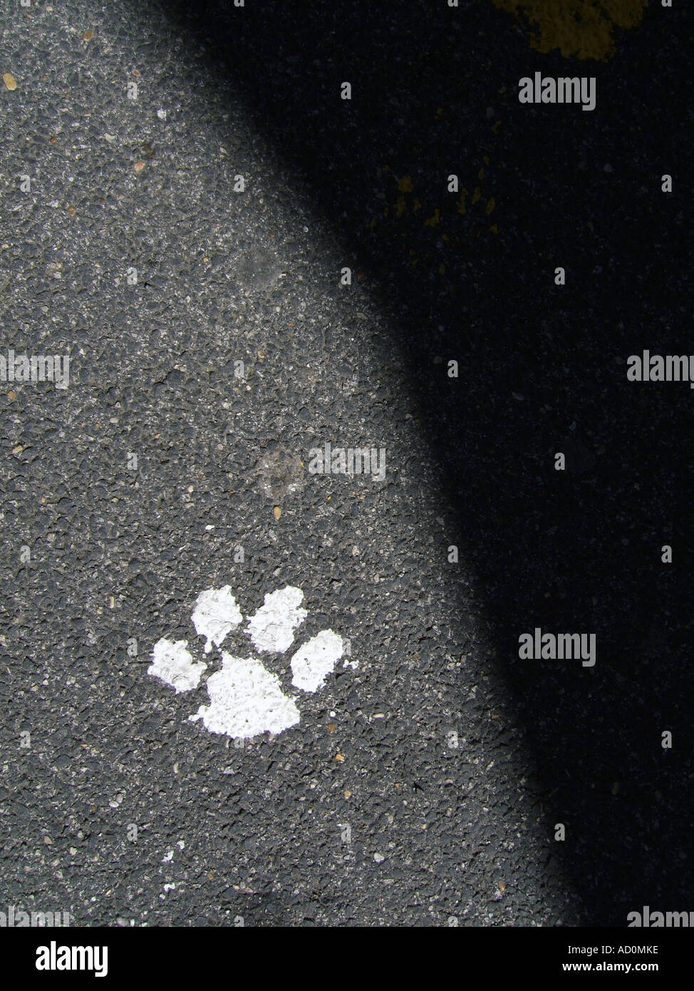 dog paw print painted on road Stock Photo - Alamy