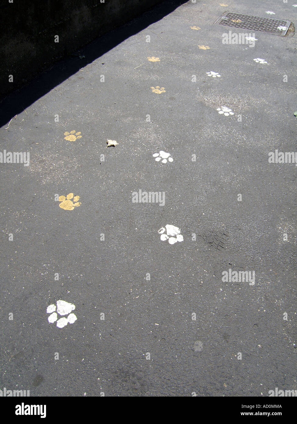 Painted footsteps on pavement hi-res stock photography and images - Alamy