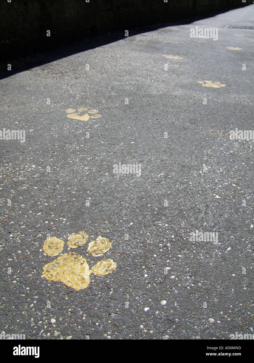 dog paw prints painted on road Stock Photo - Alamy