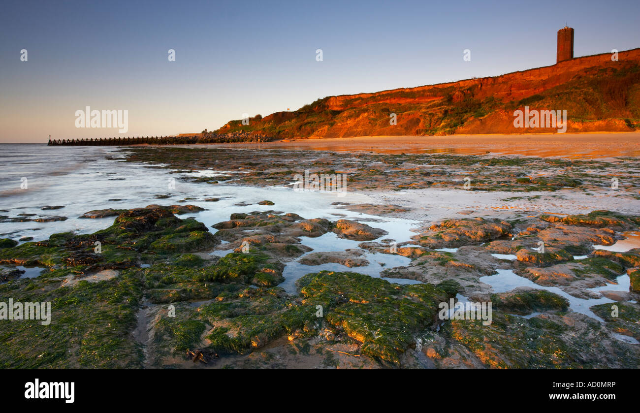 A view of the Naze on the Essex Coast Stock Photo - Alamy
