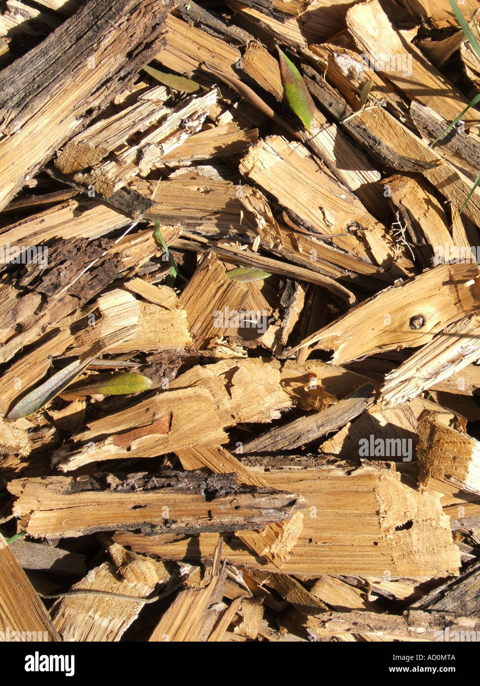 wood chippings on floor Stock Photo - Alamy