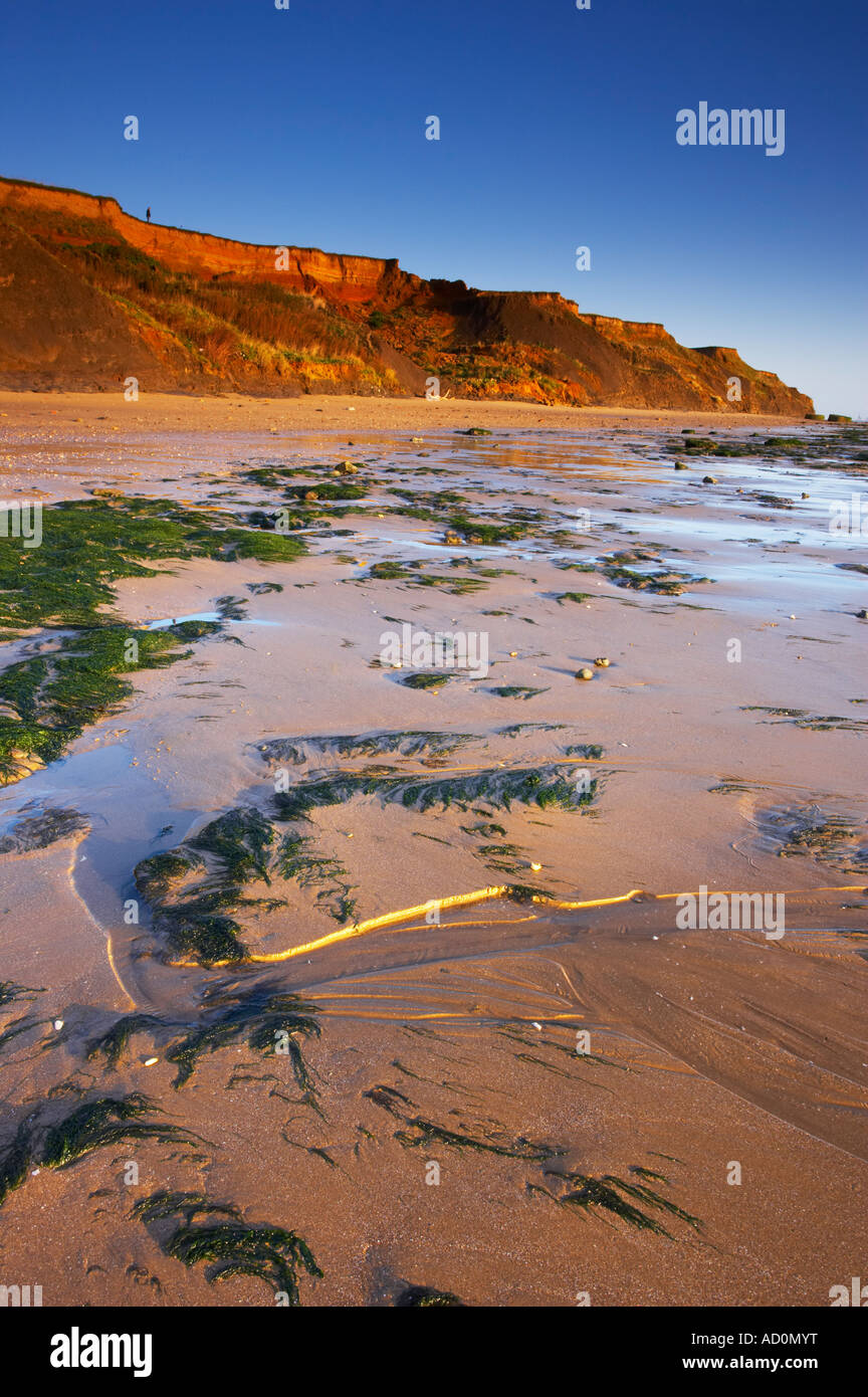 Walton on the naze cliffs hi-res stock photography and images - Alamy