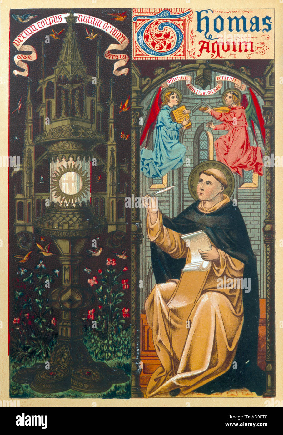 Thomas Aquinas