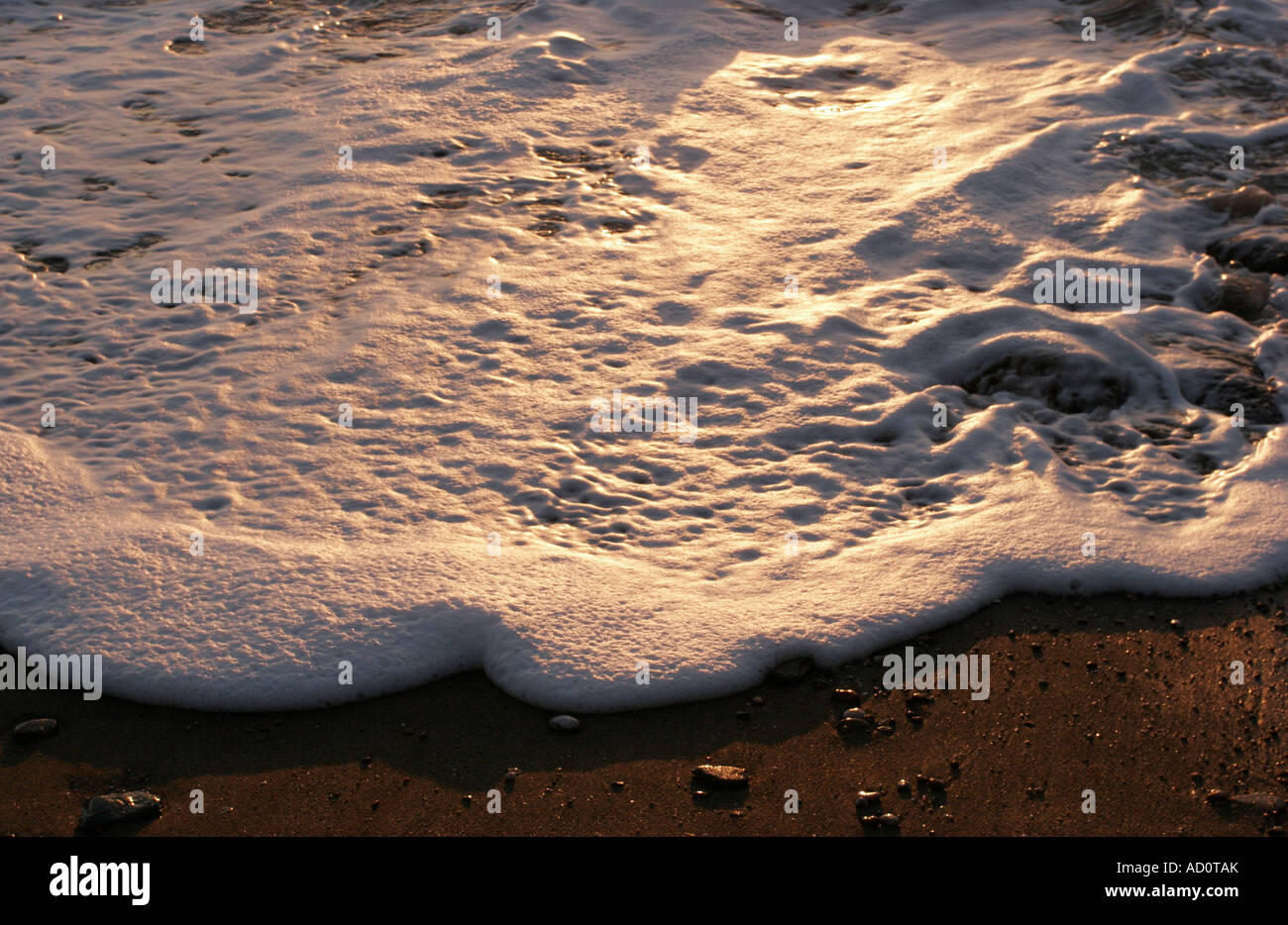 Frothy golden wave water on the beach at dawn Stock Photo - Alamy