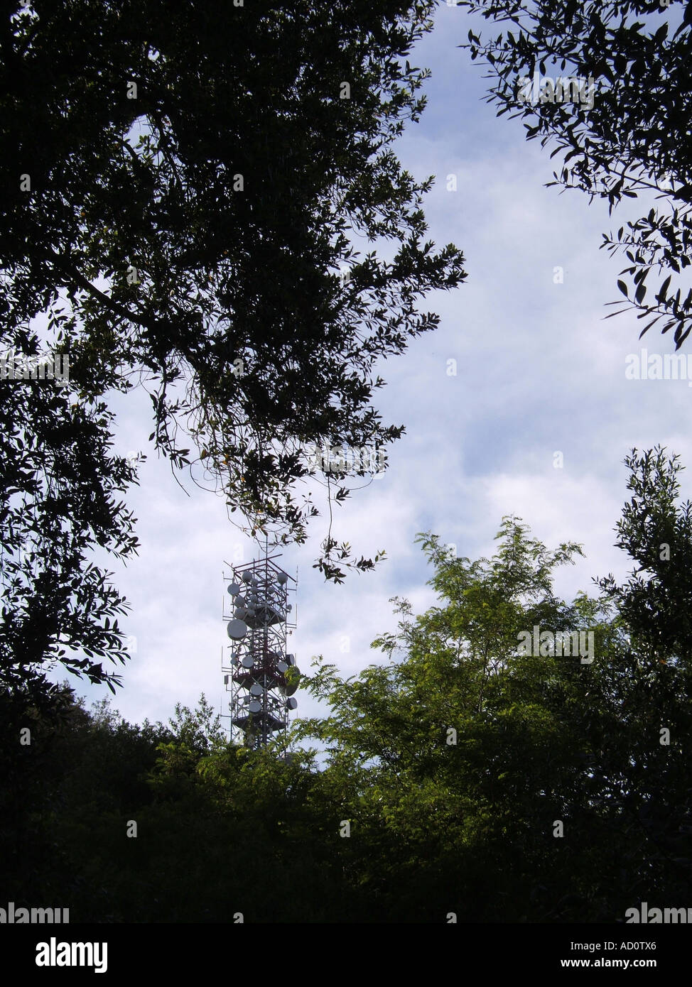 radio receiver mast transmitter seen through trees Stock Photo - Alamy