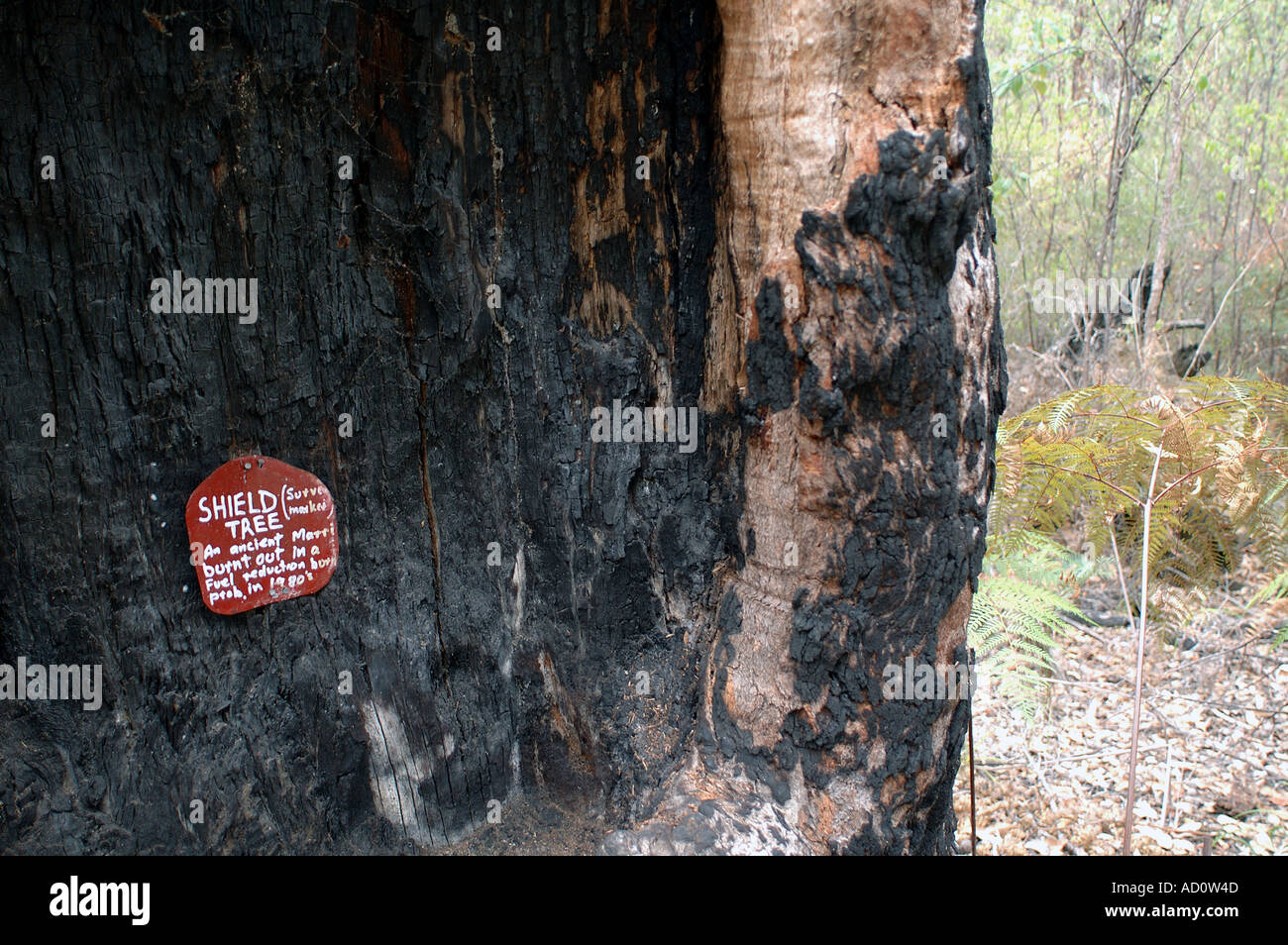 Aboriginal issues hi-res stock photography and images - Alamy