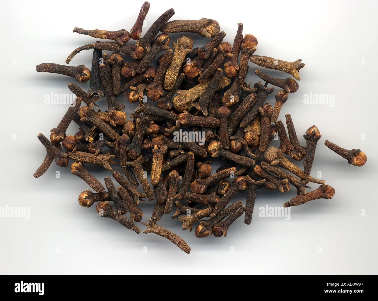 Dried whole cloves Syzygium aromaticum on white background Stock Photo ...