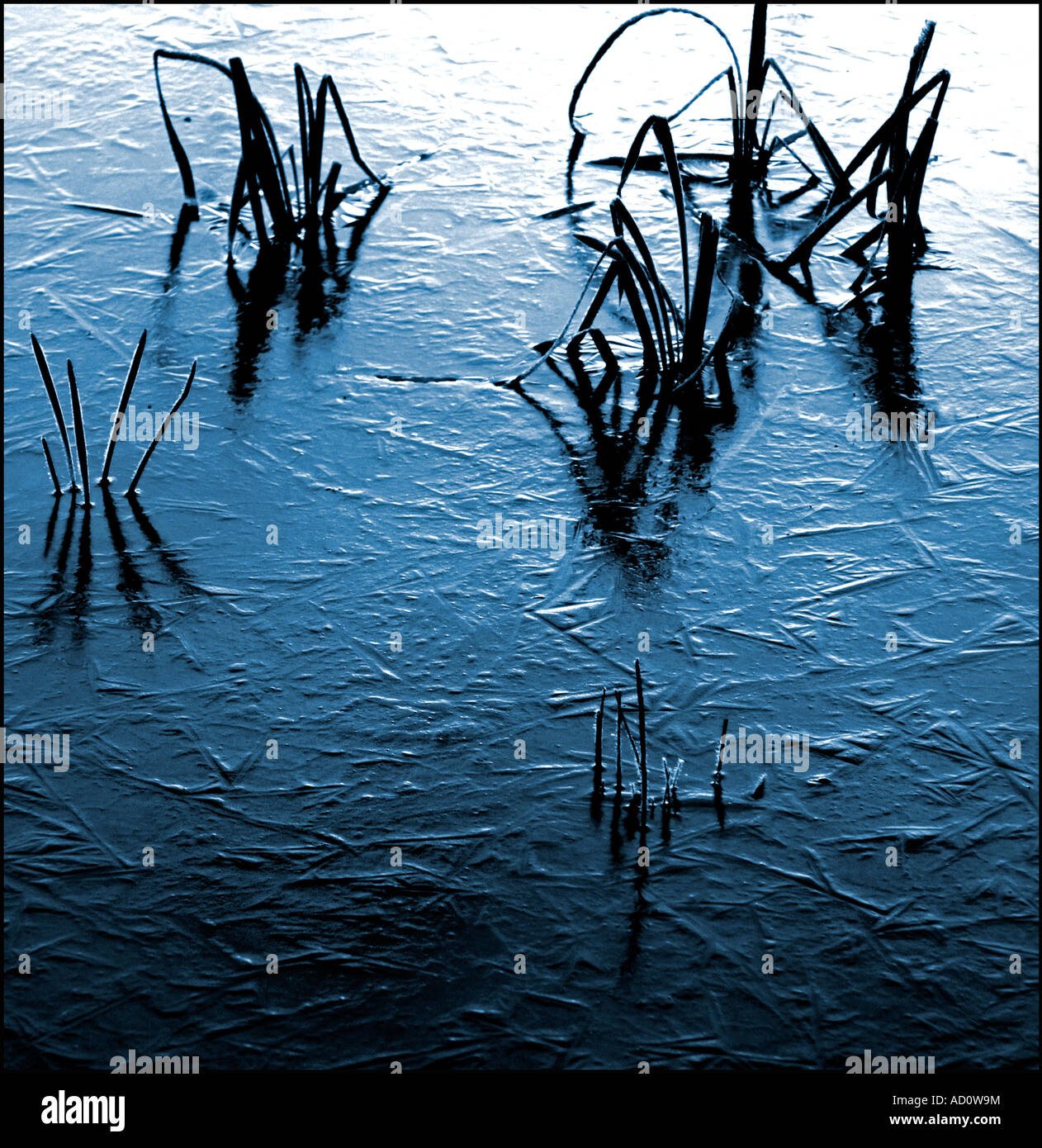 Blackc at hi-res stock photography and images - Alamy