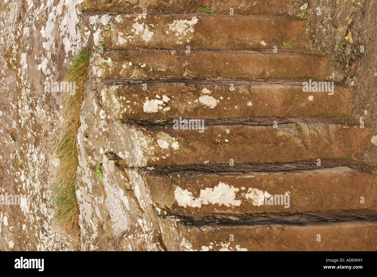 Ancient worn stone steps at Dartmouth Devon England Stock Photo - Alamy