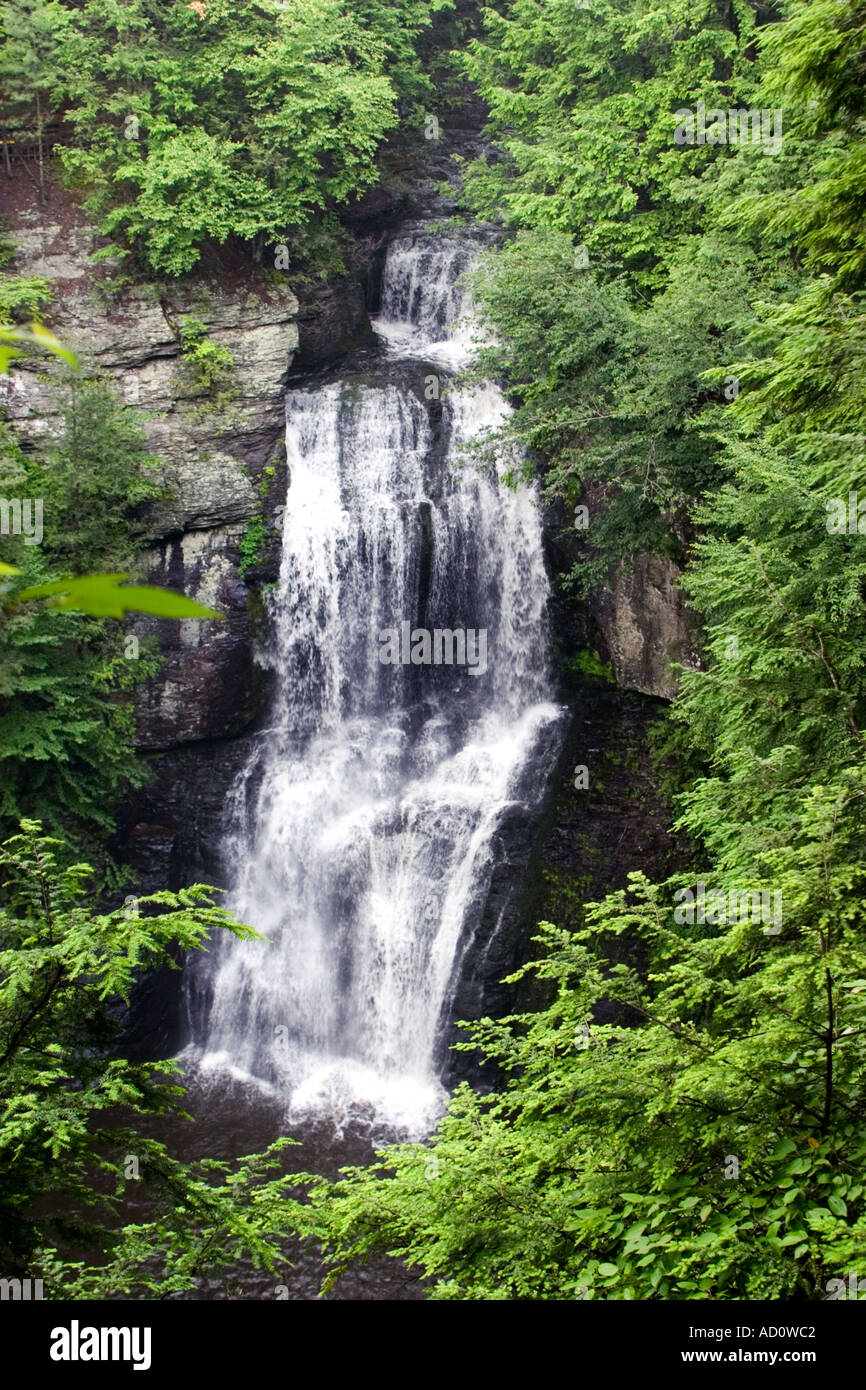 Are Dogs Allowed At Bushkill Falls