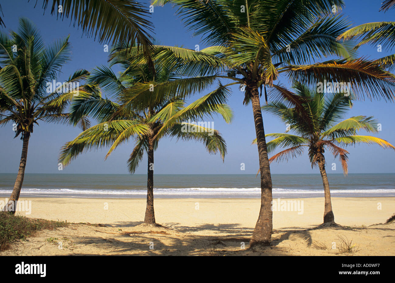 Colva Beach Goa India Stock Photo - Alamy