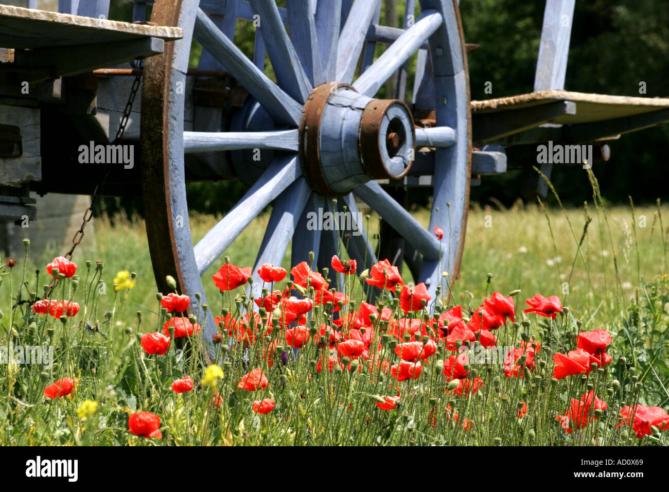 coach wheel in red poppies field Stock Photo - Alamy
