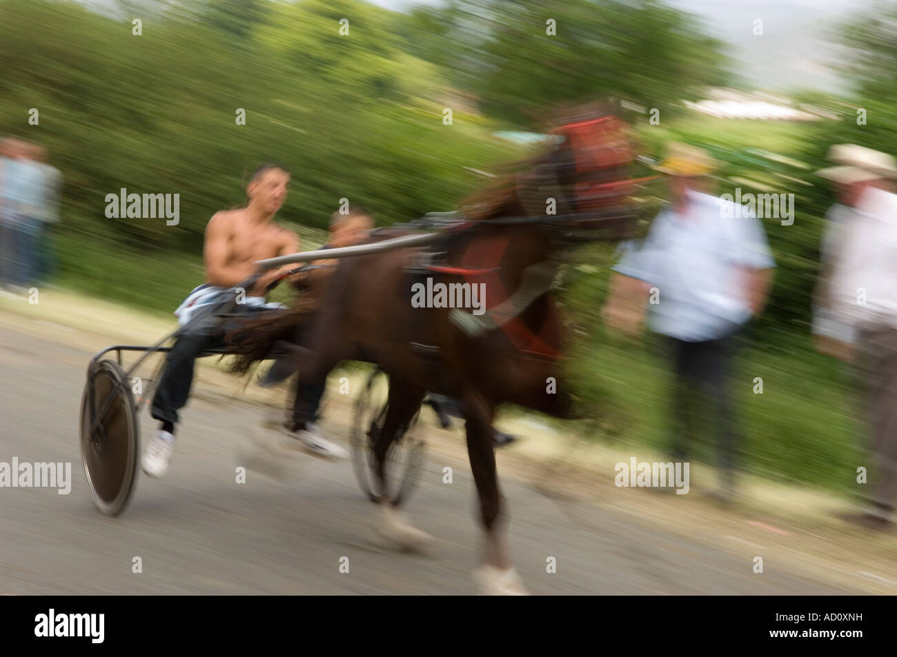 Action blurred image of Horse and trap racing at speed at Appleby Horse ...