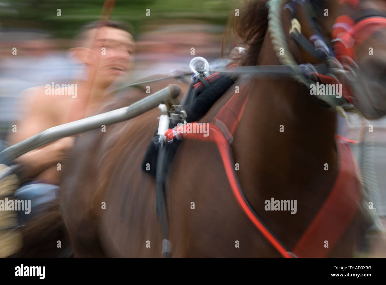 Action blurred image of Horse and trap racing at speed at Appleby Horse ...