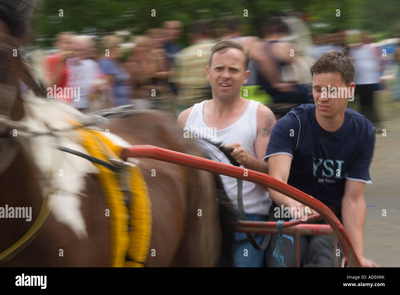 Action blurred image of Horse and trap racing at speed at Appleby Horse ...