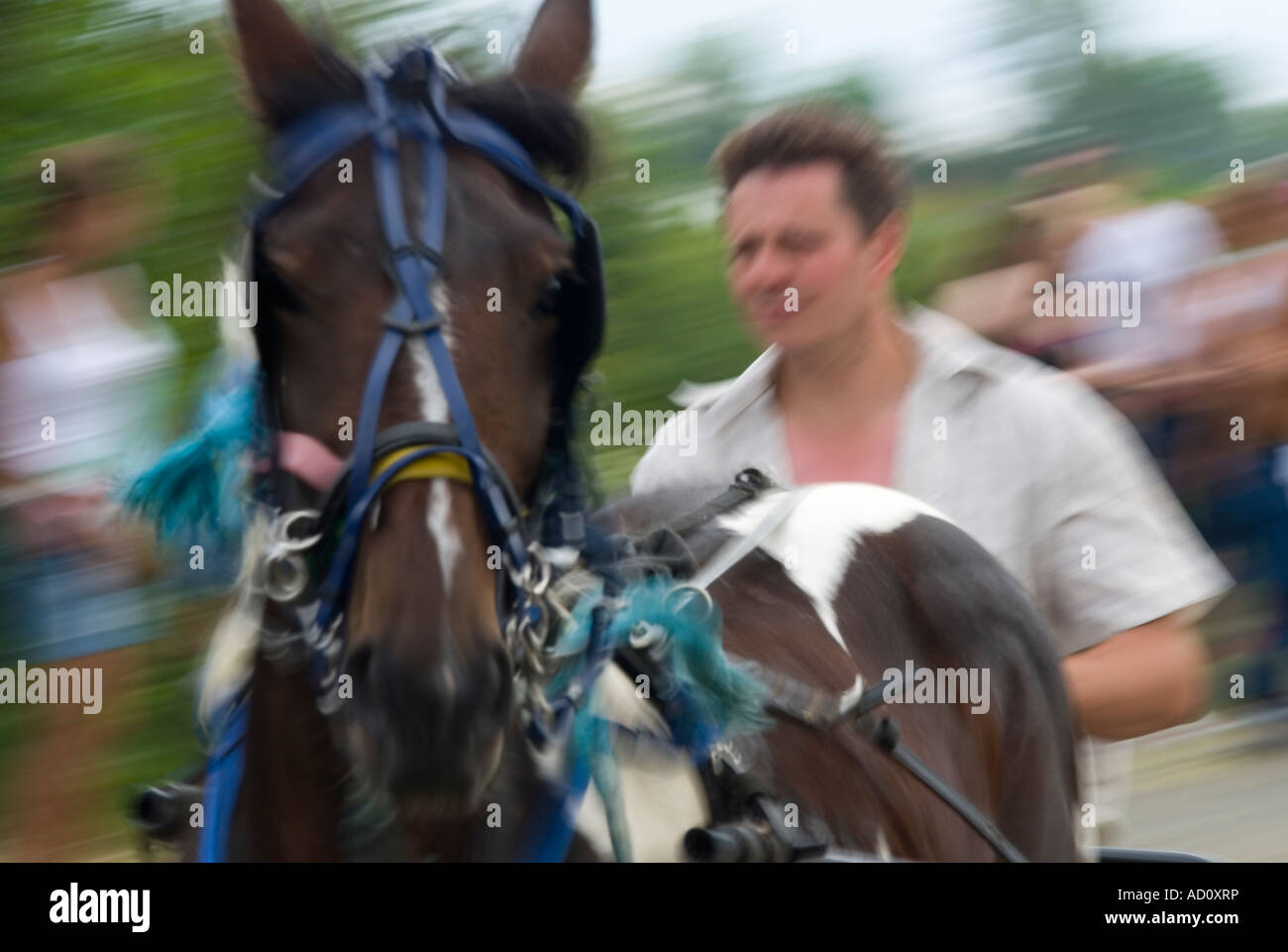 Action blurred image of Horse and trap racing at speed at Appleby Horse ...