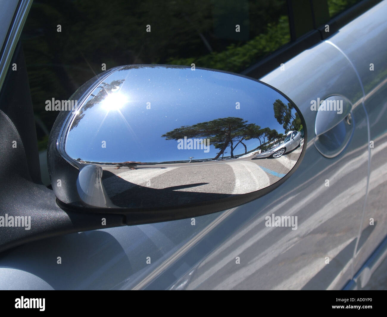 trees reflection in wing mirror on jaguar sports car Stock Photo - Alamy