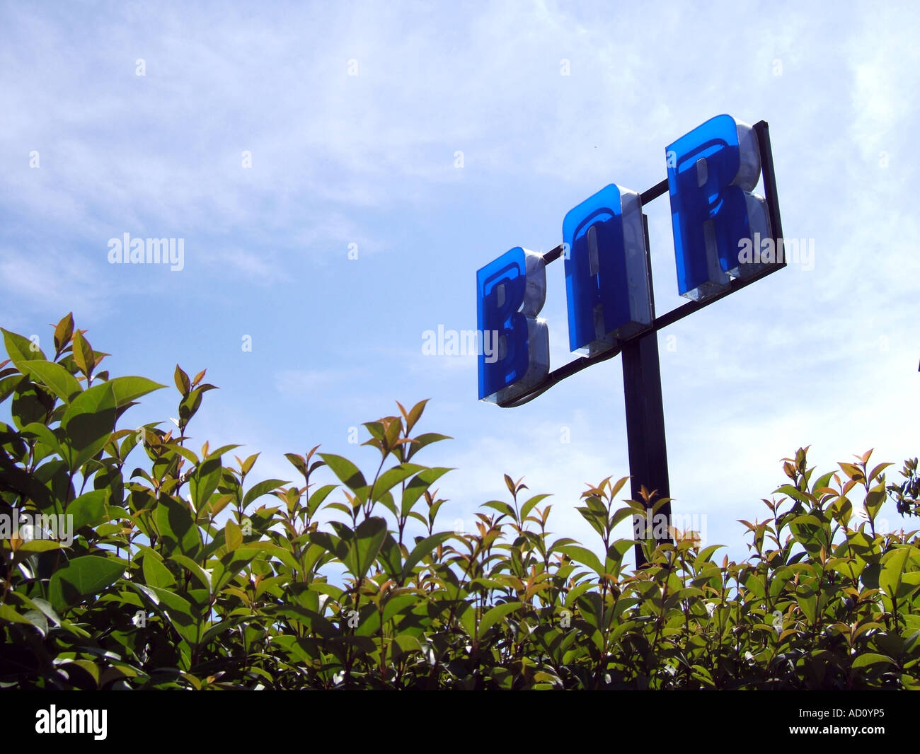 Blue tree bush outside outdoors marketing sign hi-res stock photography ...