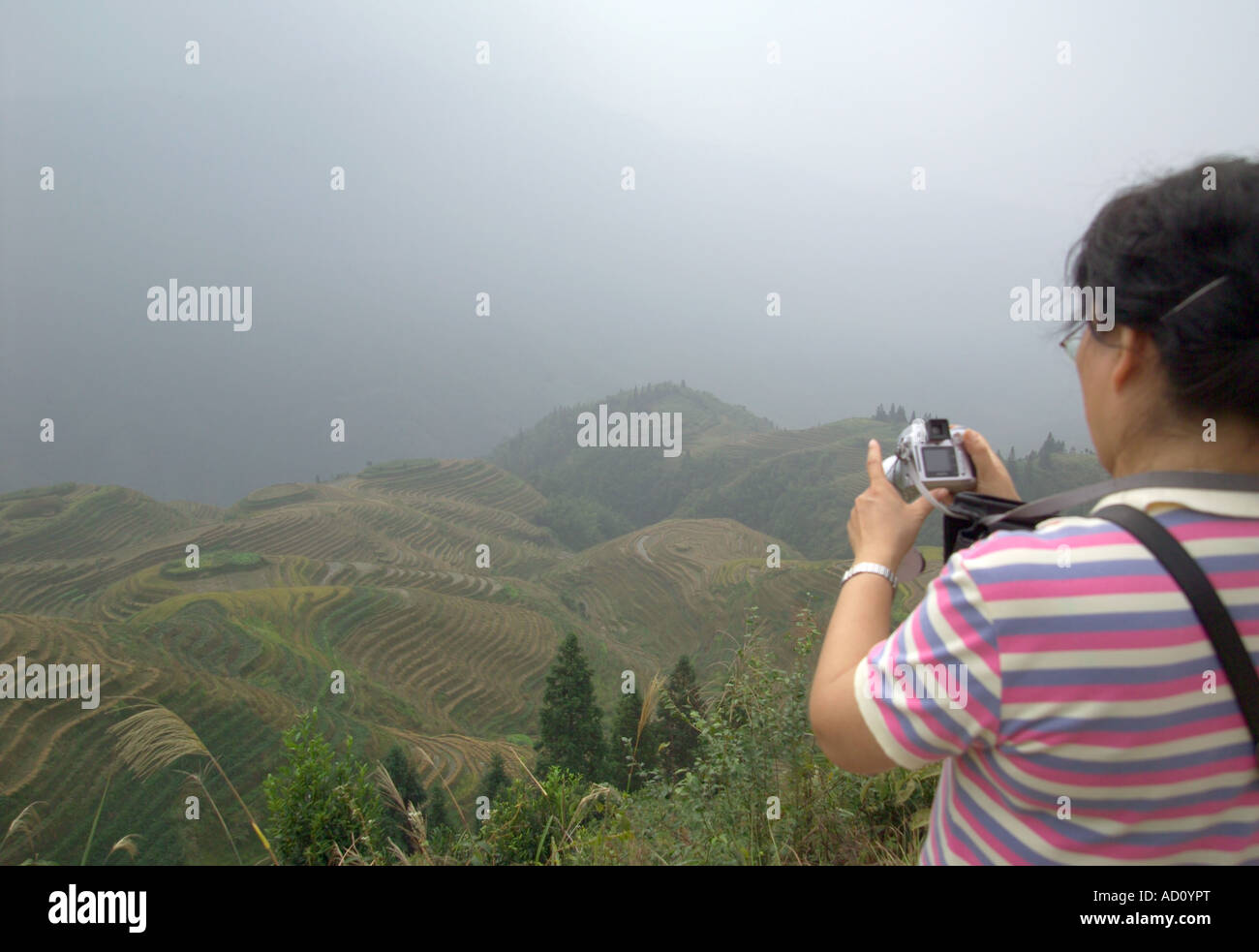 tourist photographing the rices terraces of Pingan Stock Photo - Alamy