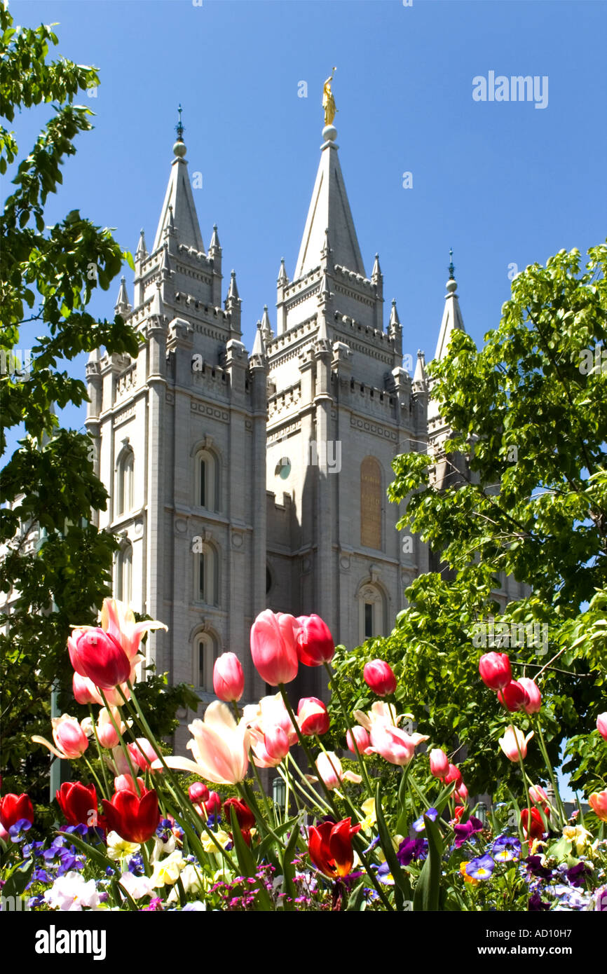 SLC LDS Temple flowers trees front Stock Photo - Alamy