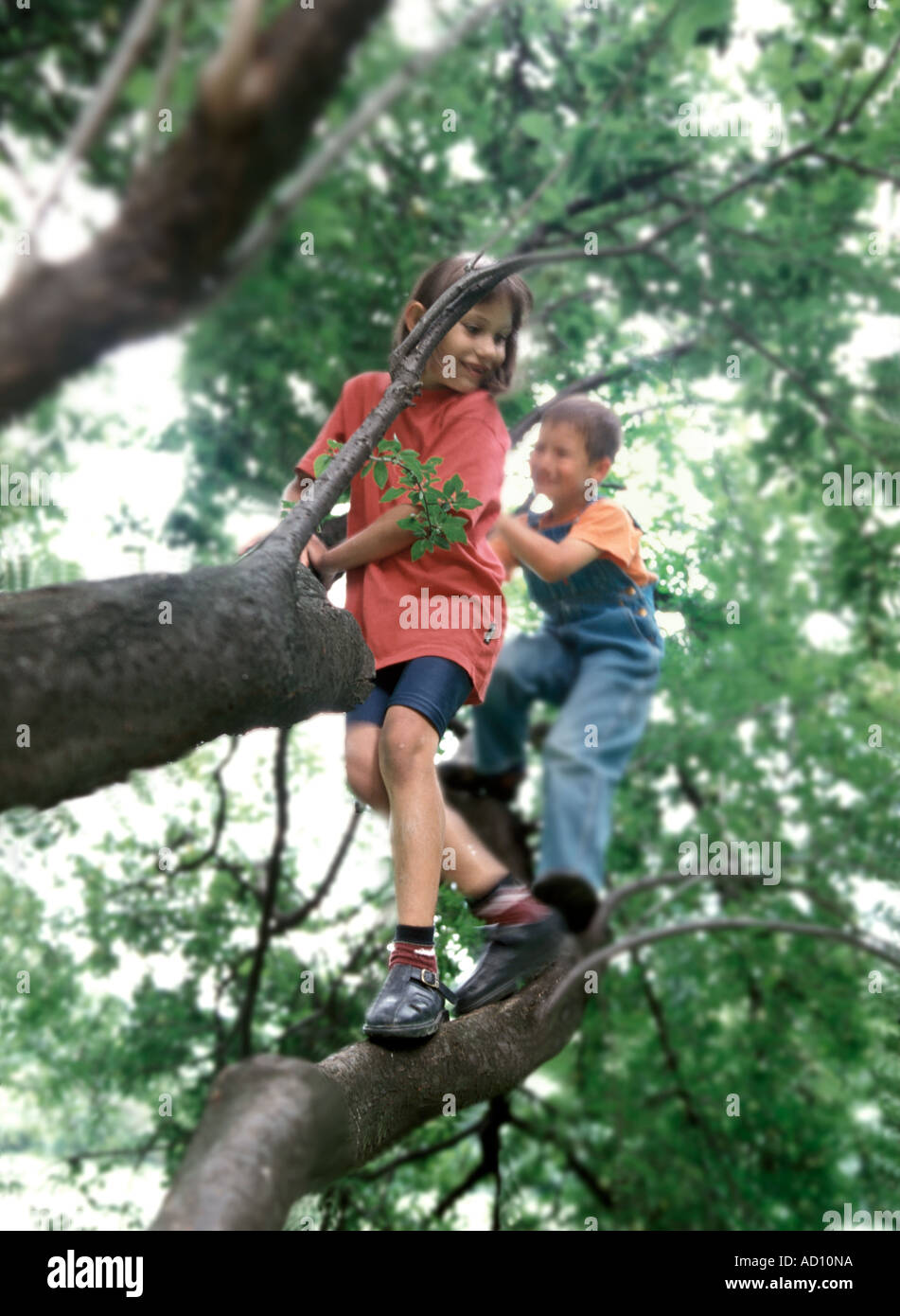 boy and girl on tree Stock Photo - Alamy