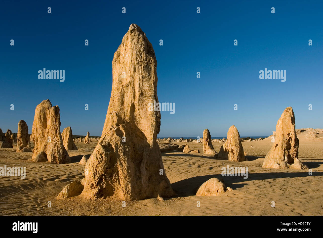 Pinnacle Desert Nambung National Park Western Australia Australia Stock ...