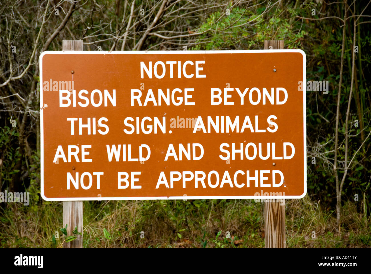 Florida Paynes Prairie Preserve Florida bison warning sign danger odd ...