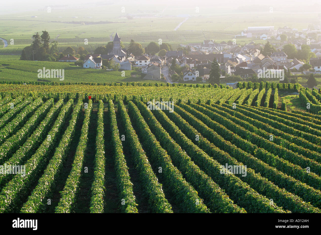 Oger hi-res stock photography and images - Alamy