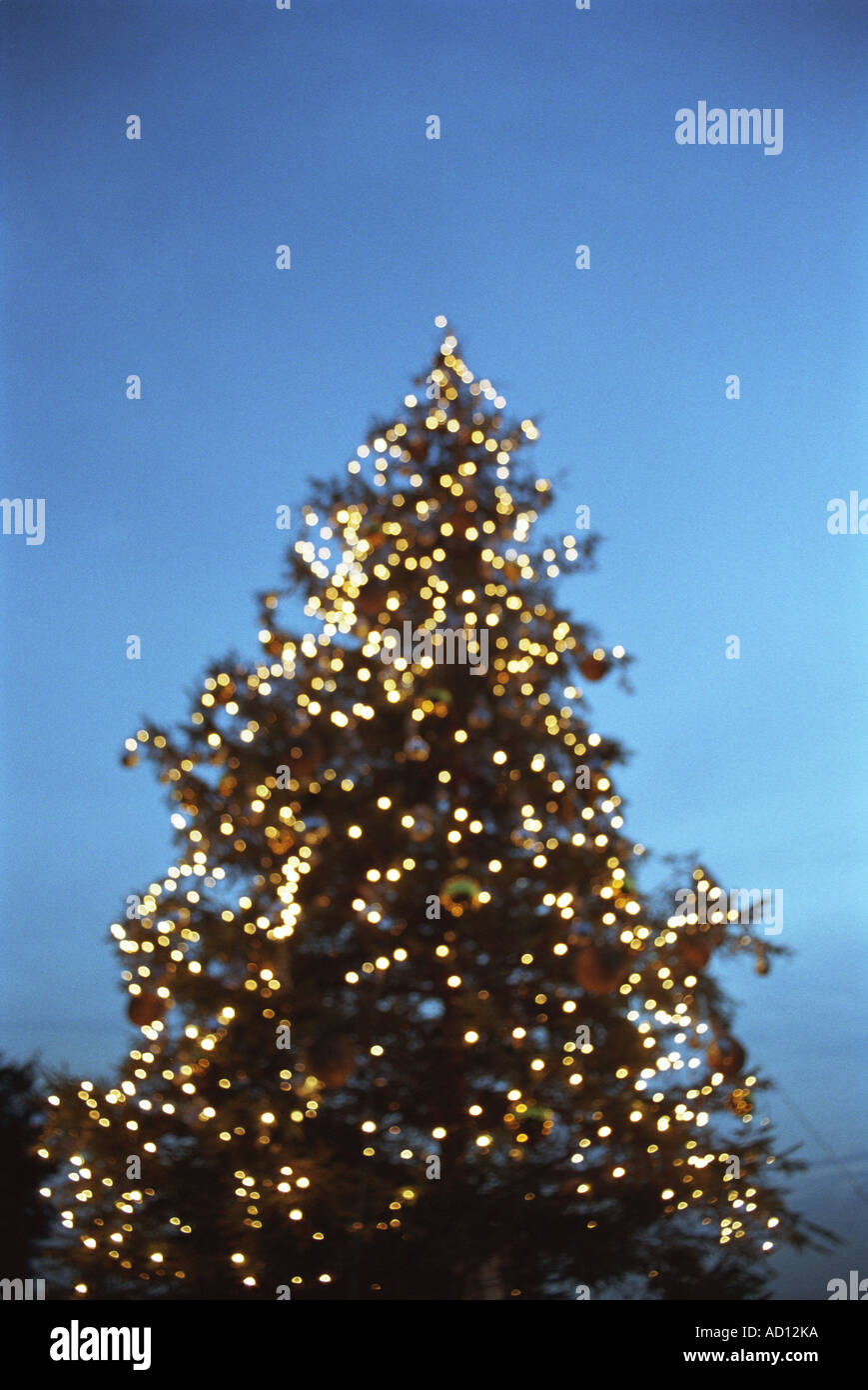 christmas tree with colourful lights at night Stock Photo - Alamy