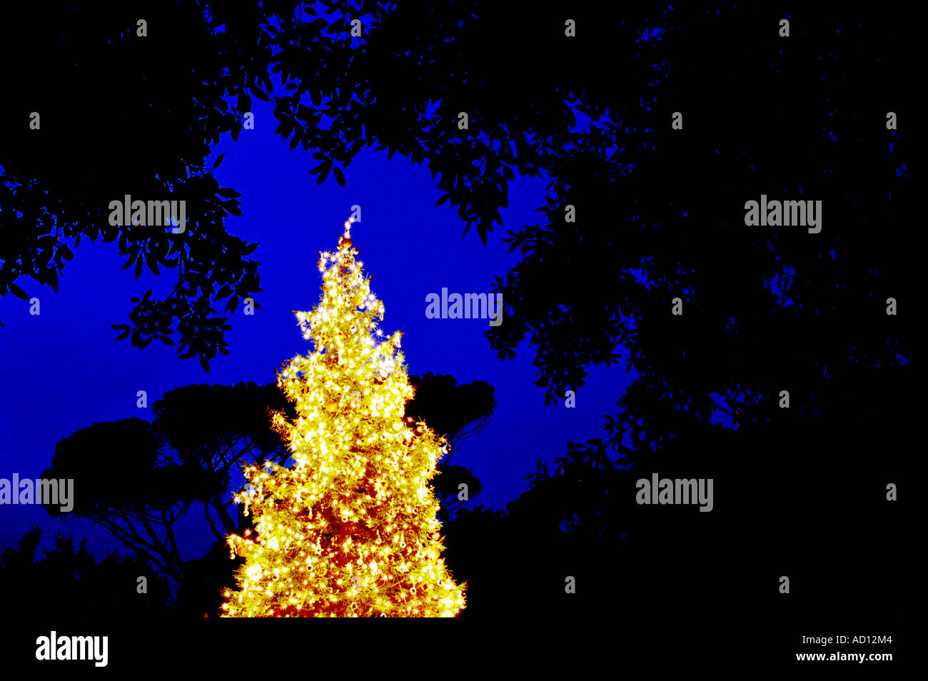 christmas tree with colourful lights at night Stock Photo - Alamy