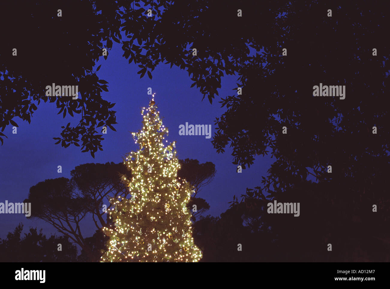 christmas tree with colourful lights at night Stock Photo - Alamy
