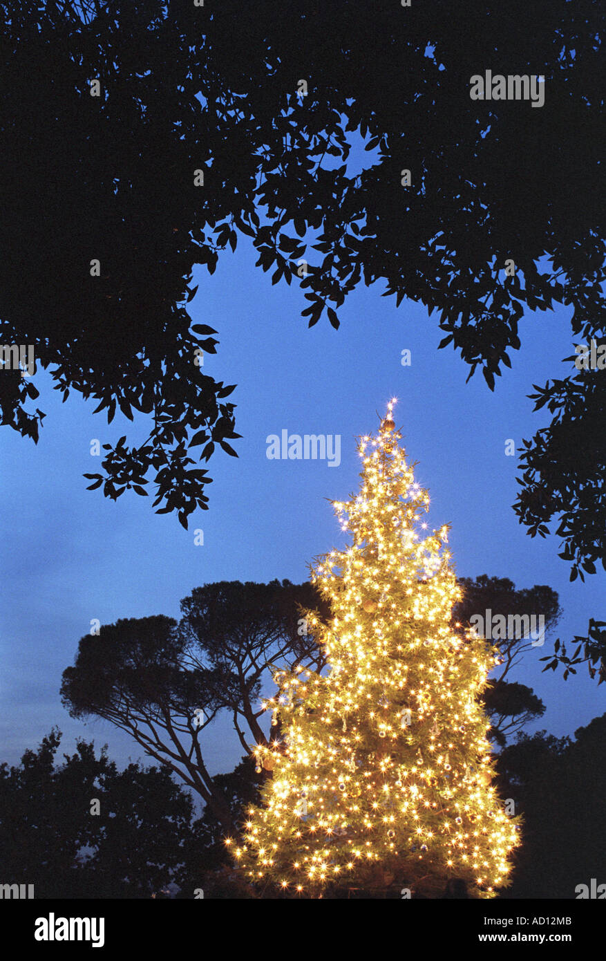 christmas tree with colourful lights at night Stock Photo - Alamy