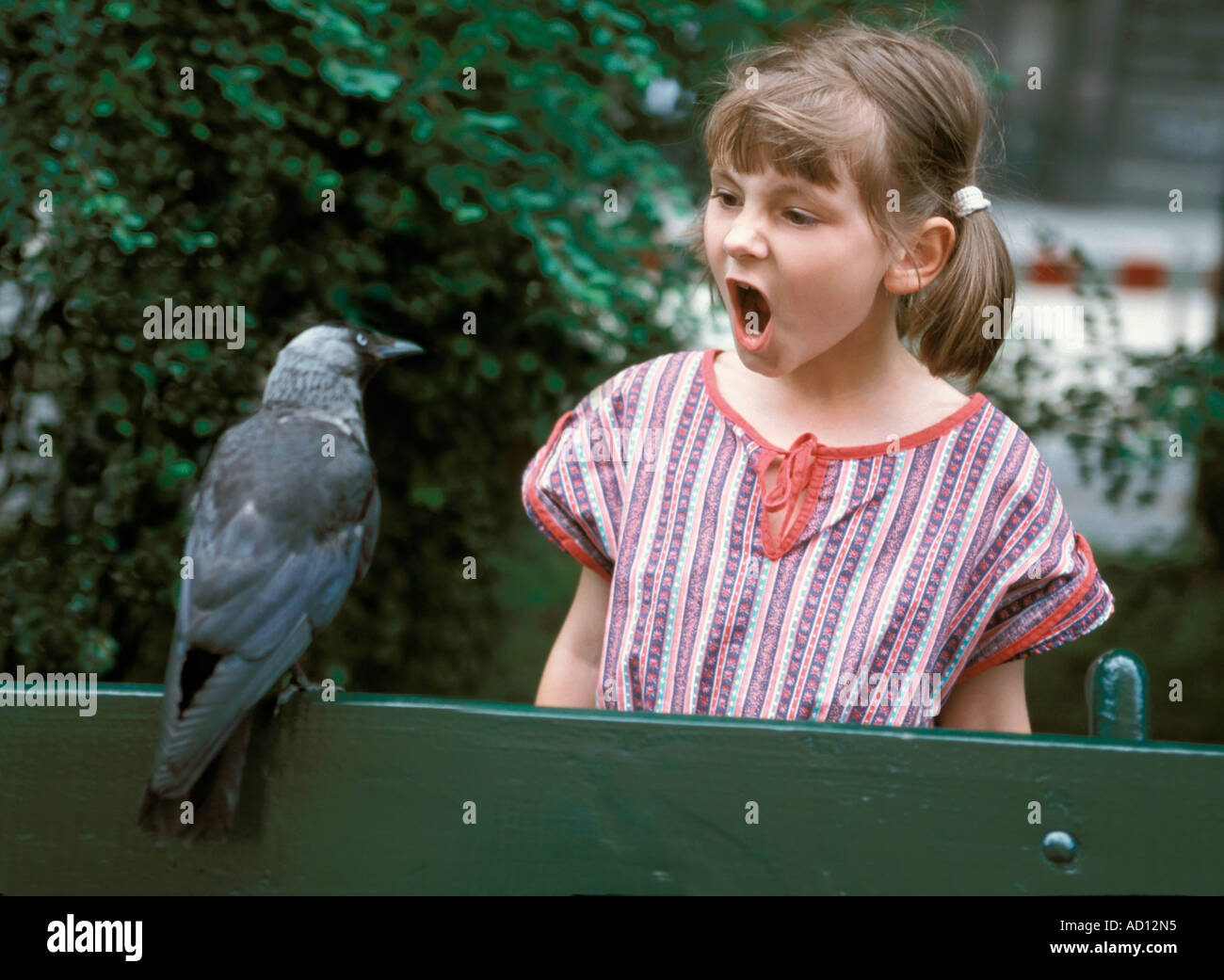 girl scared by crow screaming MR8381A Stock Photo - Alamy