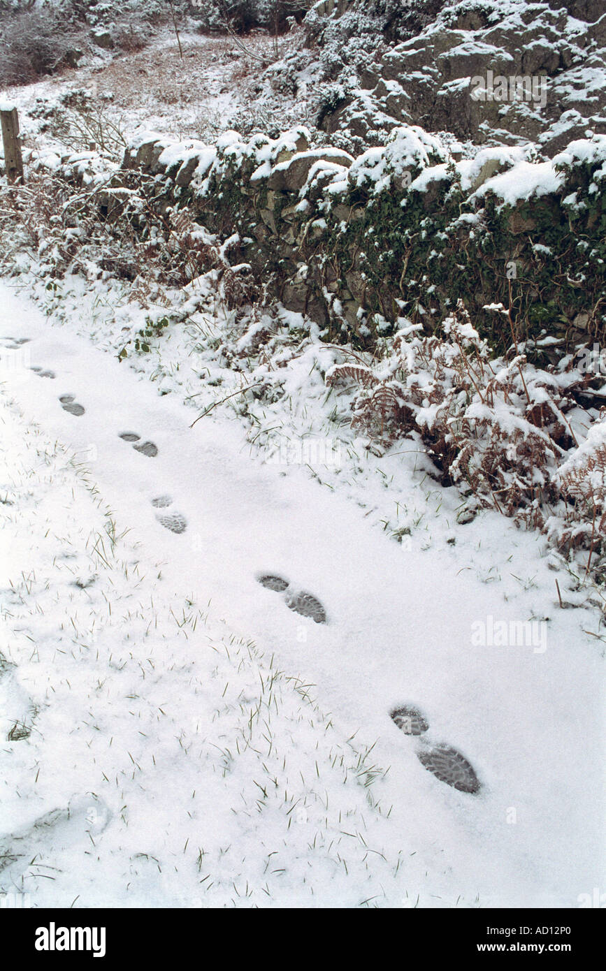 Tracks steps solitude hi-res stock photography and images - Alamy