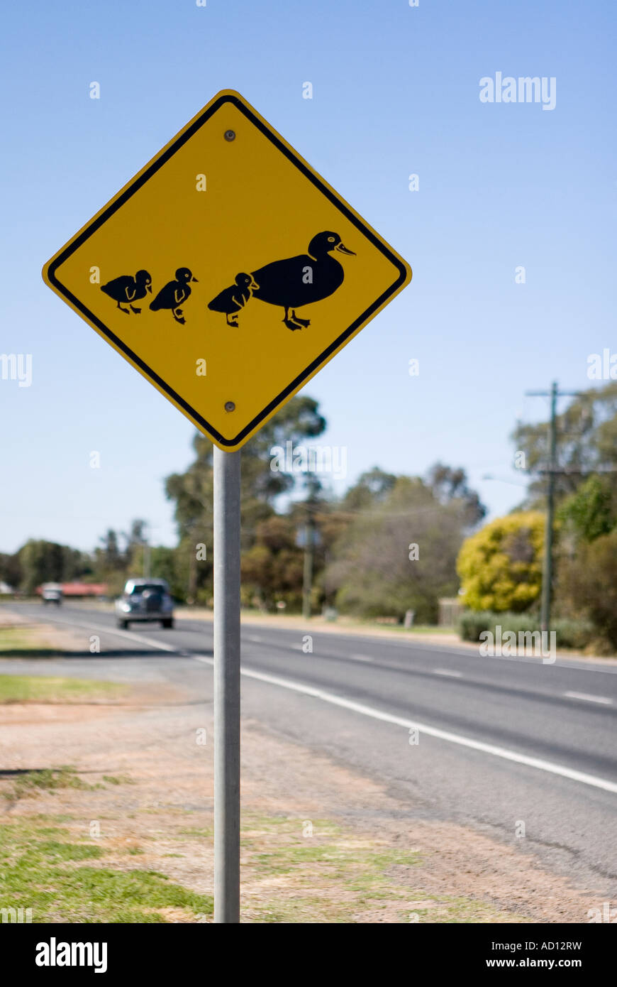Ducks crossing road sign Stock Photo - Alamy