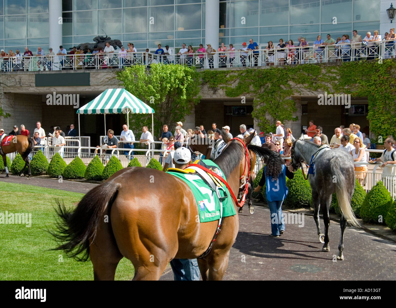 Race Track Paddock Parade Stock Photo - Alamy