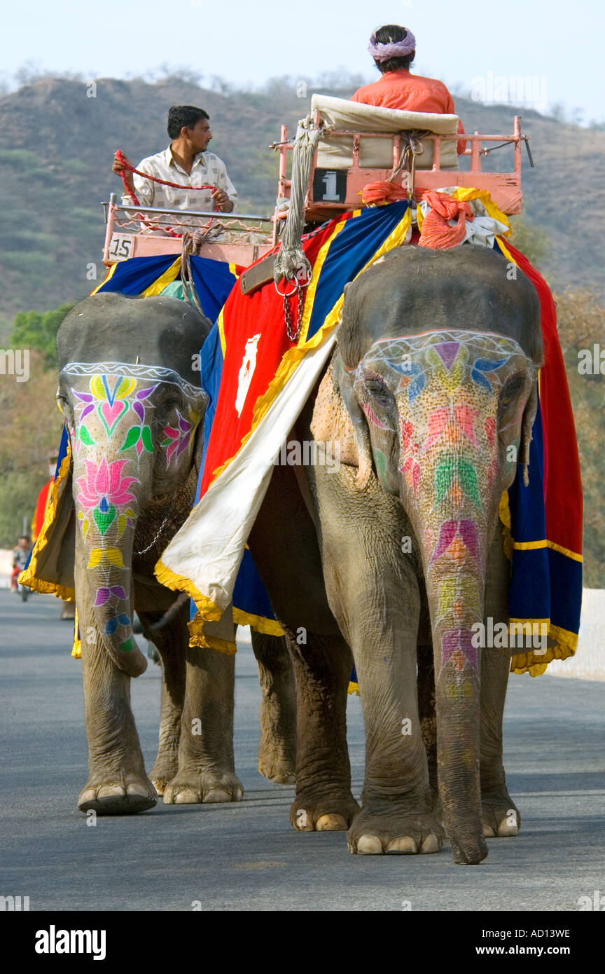 Indian painted elephants hi-res stock photography and images - Alamy