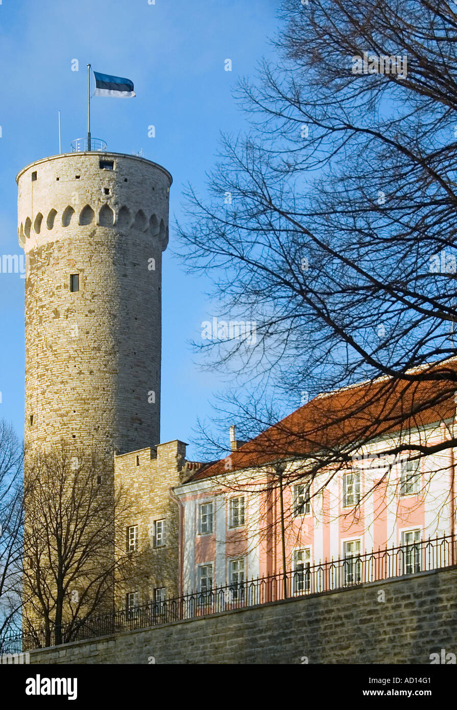 Vertical view of the Pikk Hermann Tower and the pink State Assembly ...